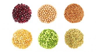Facts and Recipes : everything about legumes and pulses!
