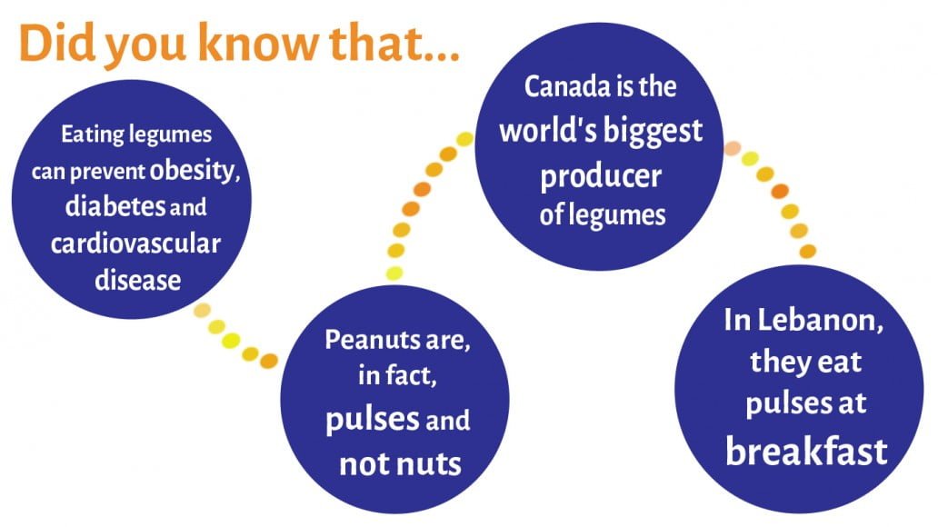 Facts and Recipes : everything about legumes and pulses!