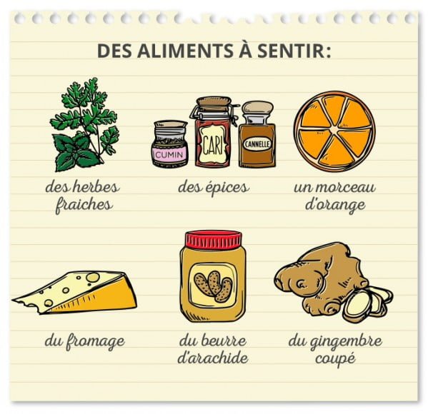 10 activités pour introduire la nutrition aux enfants | Arctic Gardens