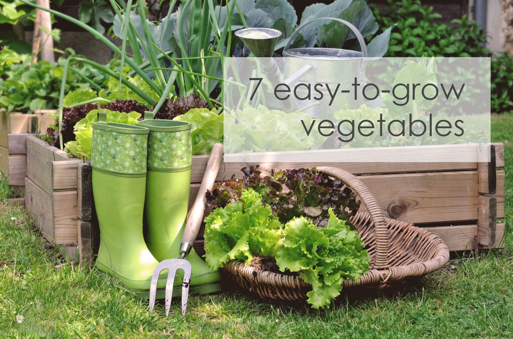 Growing Vegetables Growing Vegetables