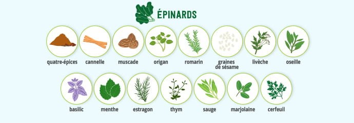 Guide des épices et des fines herbes | Arctic Gardens