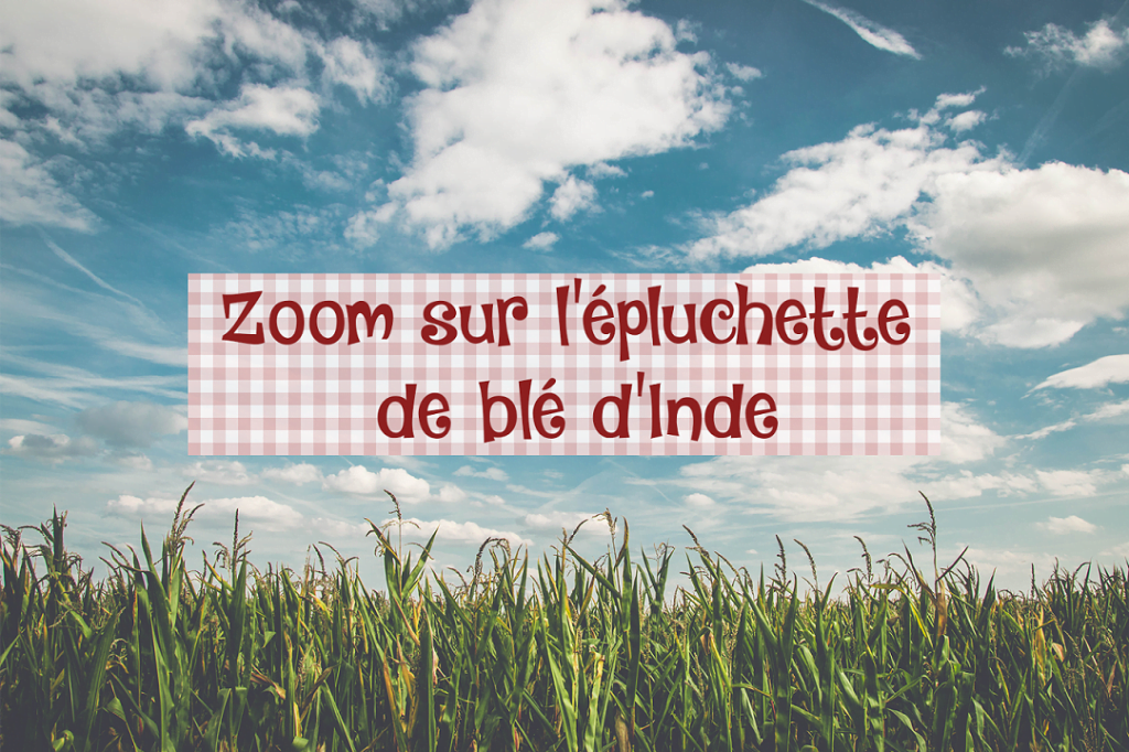 Zoom sur l'épluchette de blé d'Inde | Arctic Gardens