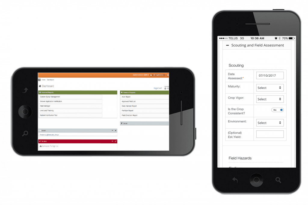 The agricultural expertise behind Arctic Gardens vegetables | Arctic ...