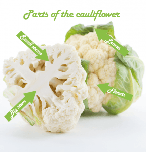 Discovering cauliflower | Arctic Gardens