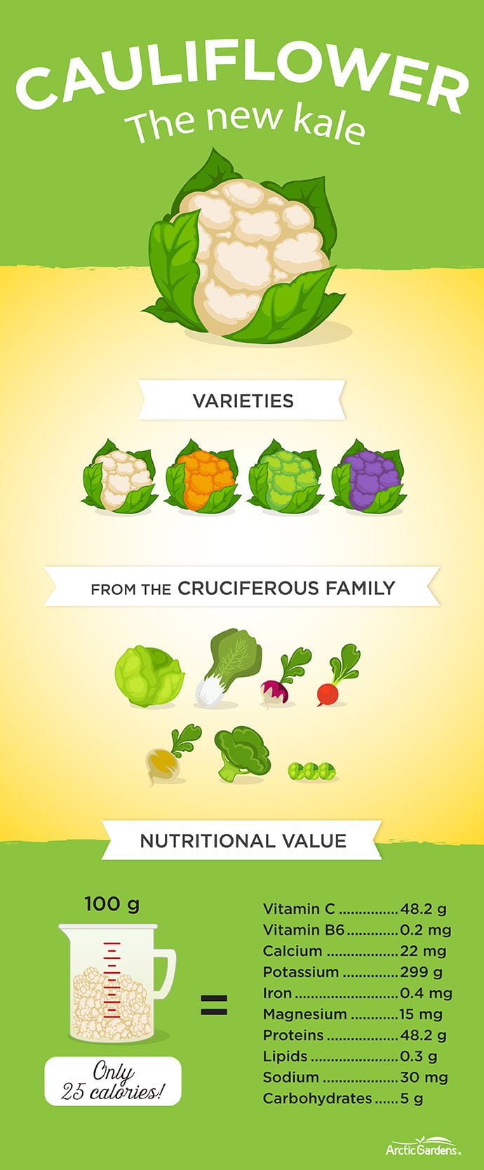 Discovering cauliflower | Arctic Gardens