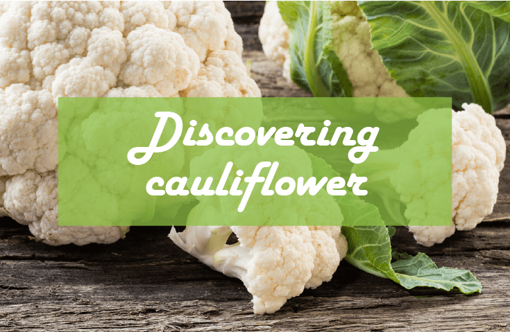 Discovering cauliflower | Arctic Gardens