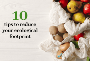 Earth Day: 10 tips to reduce your ecological food footprint | Arctic Garden