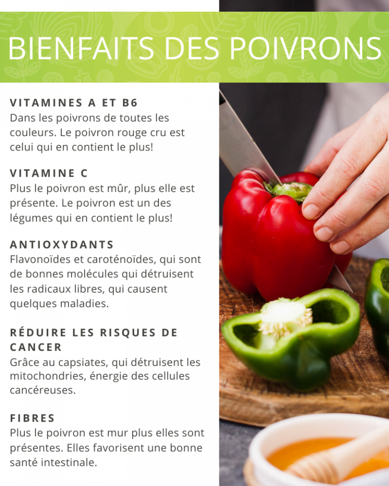 Le poivron : recettes et conseils pour bien le cuisiner | Arctic Gardens