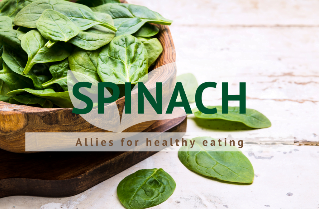 Spinach: discover its health benefits | Arctic Gardens