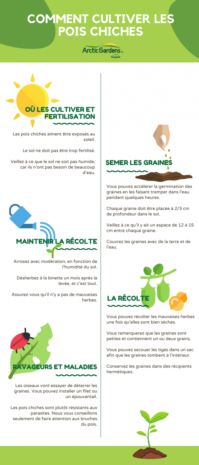 Les pois chiches: les cuisiner pour profiter de leurs bienfaits ...