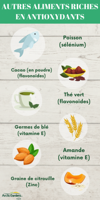 Antioxydants: où les trouver et quels sont les bienfaits | Arctic Gardens